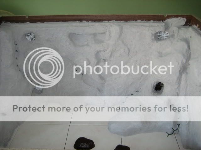 royal python 3ft viv first attempt pic heavy | Reptile Forums